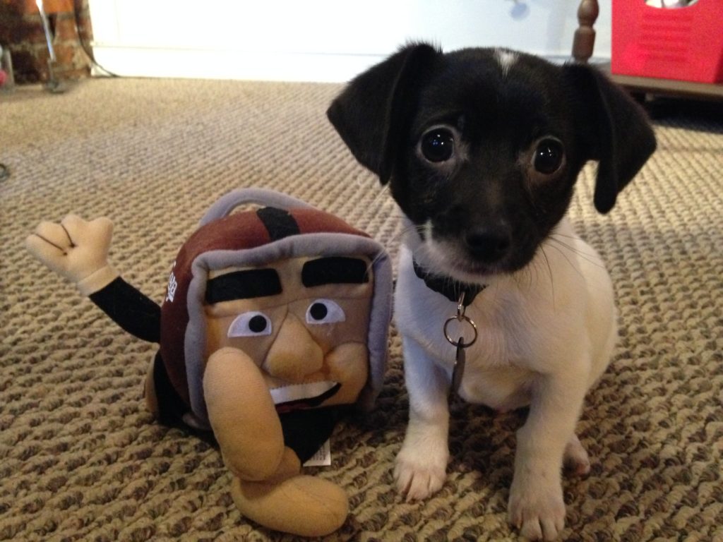 5 Surprising Things about Captain Curby - Granger